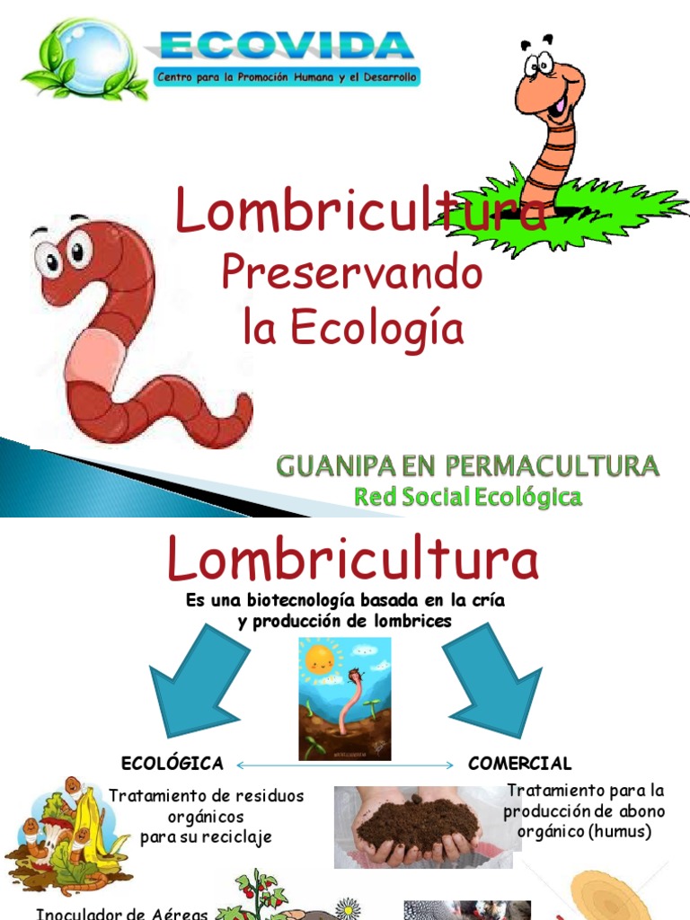 Lombricultura.pdf | Fertilizante | Comida y bebida