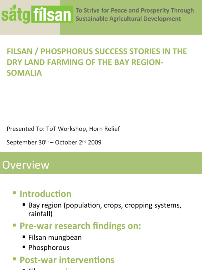 Filsan Mungbean Success in Somalia | PDF | Agriculture | Phosphorus