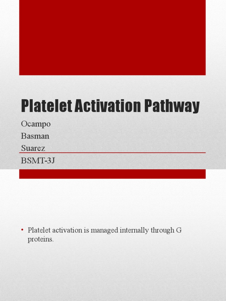 Platelet Activation Pathway | PDF | Platelet | Prostaglandin