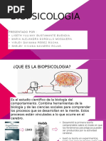 Teoría de VAN LIMBORGH | PDF | Epigenética | Anatomía