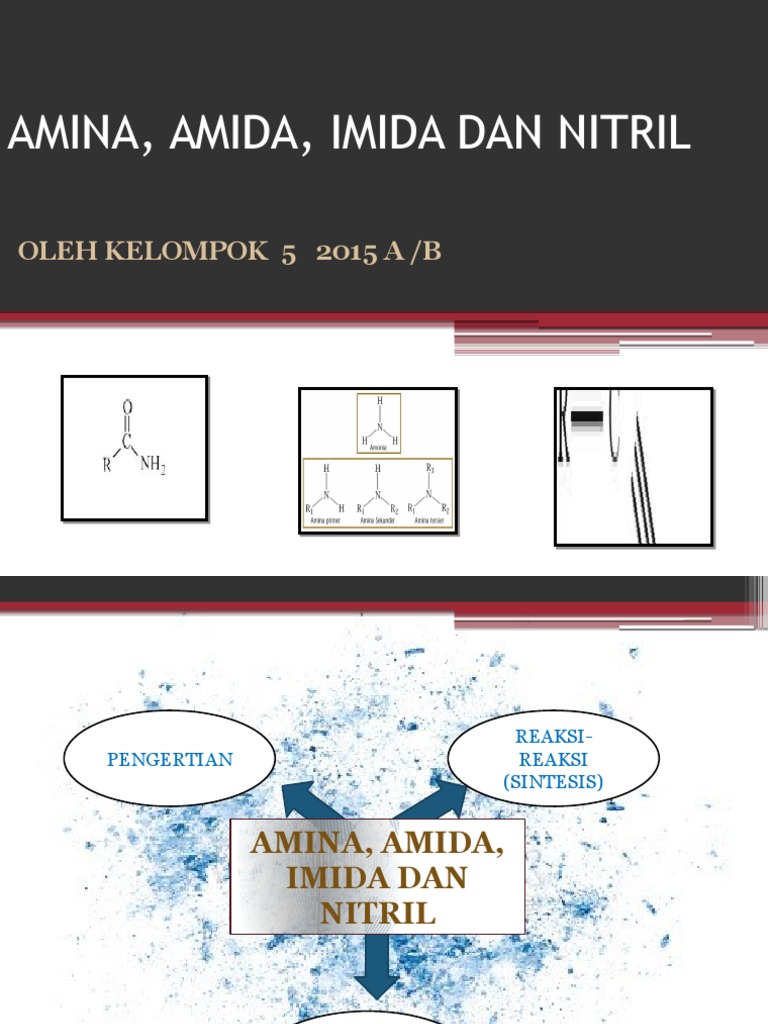 Amida Amina Imida Dan Nitril | PDF