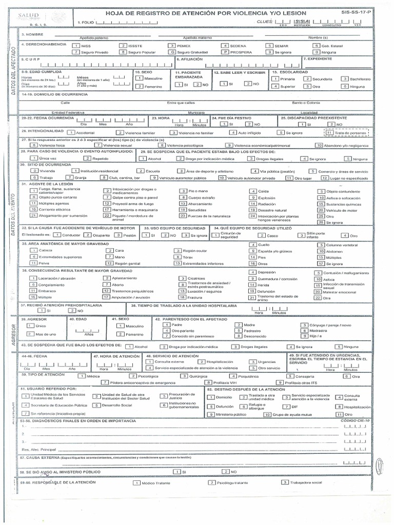 Formato Sis-Ss-17-P | PDF