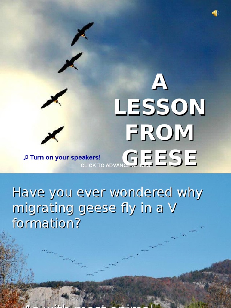 A Lesson From Geese | PDF