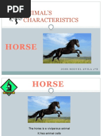 Repertorial Sheet | PDF