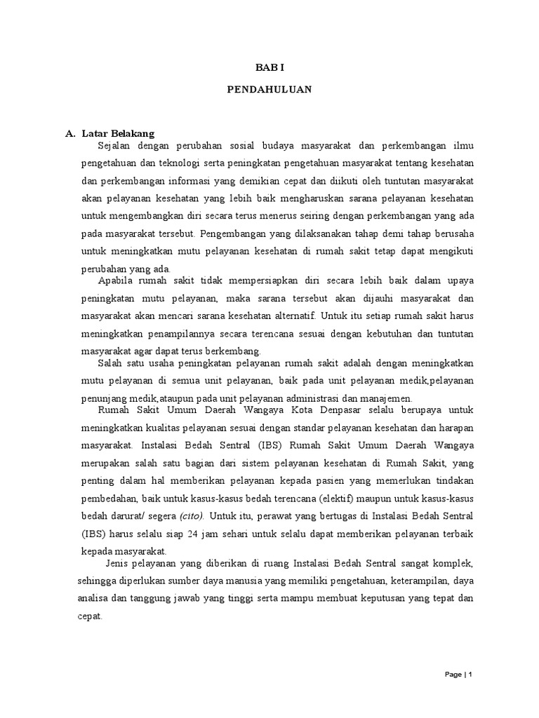 Program Kerja Ibs | PDF