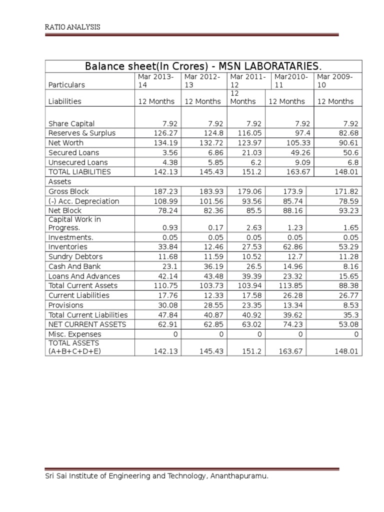 Balance Sheets | PDF | Expense | Balance Sheet