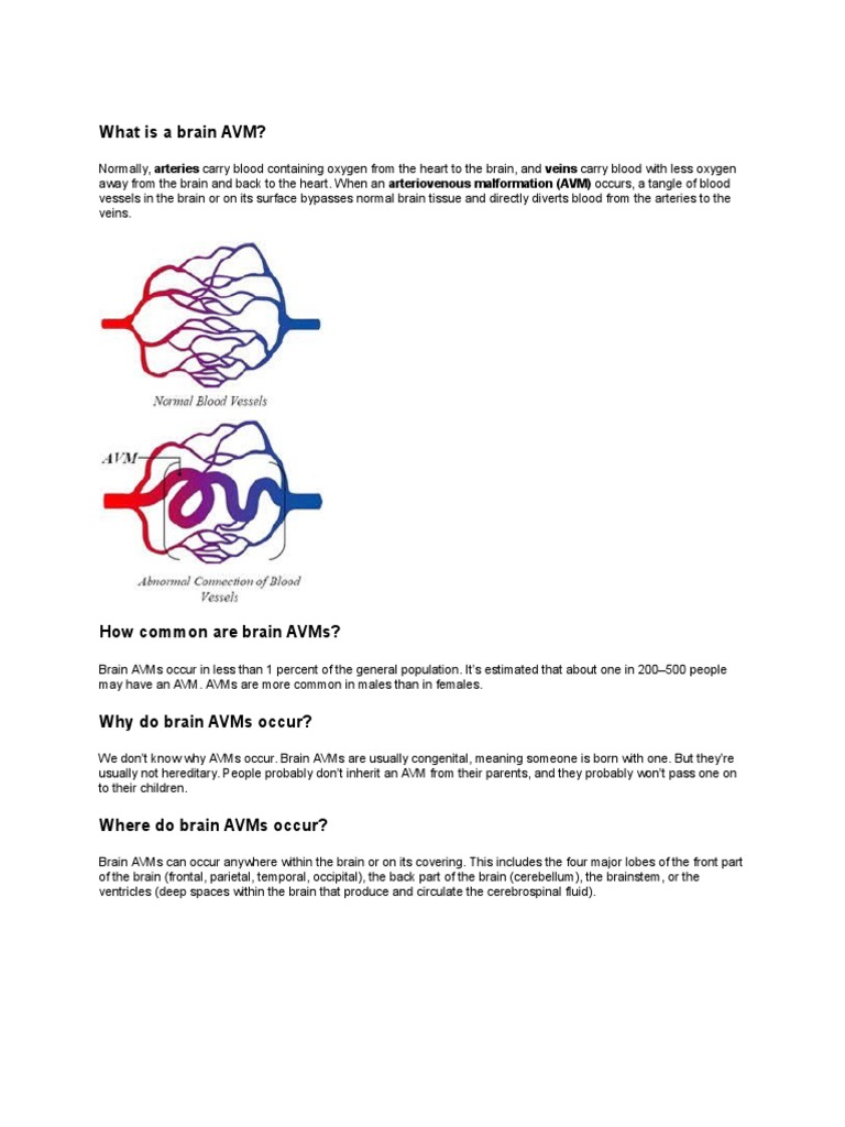 What Is A Brain AVM | PDF | Human Brain | Interventional Radiology