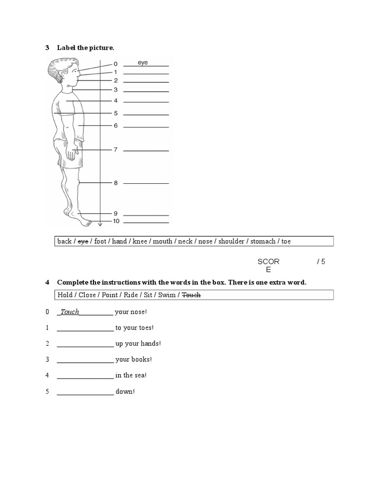 Label body parts and complete instructions | PDF