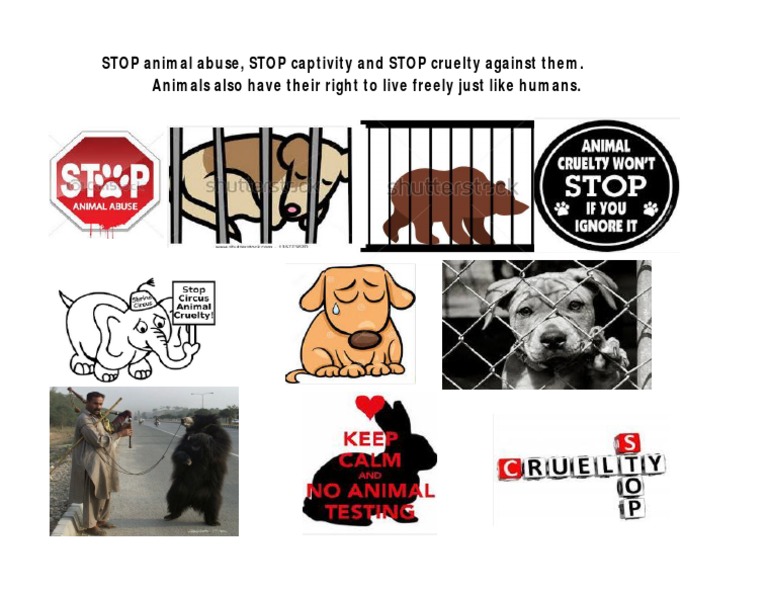 Stop Animal Cruelty | PDF | Politics | Self-Improvement