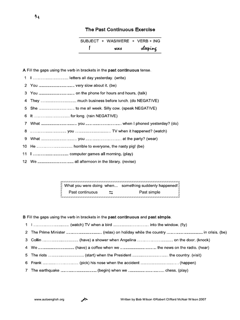 Past Continuous Exercise | PDF