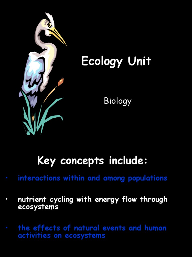 Ecology Unit: Biology | PDF | Food Web | Predation