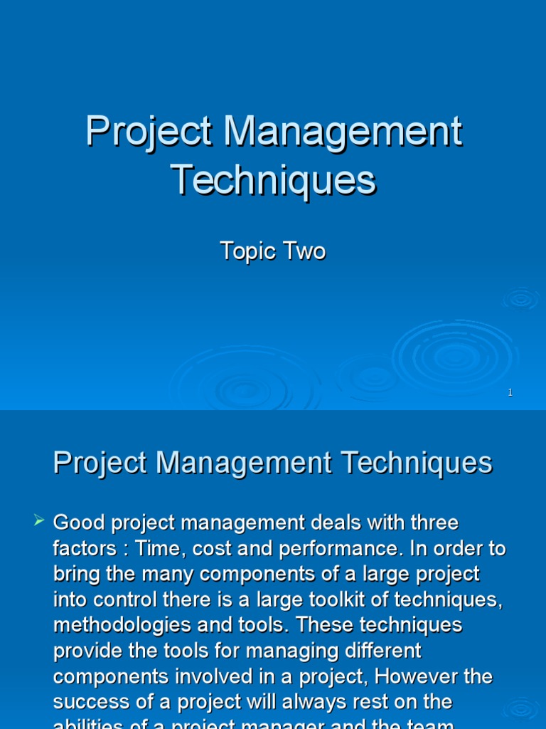 Project Management Techniques | PDF | Project Management | Projects