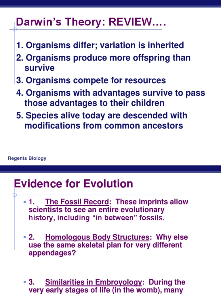 Darwin Evolution Nselection | PDF | Natural Selection | Adaptation