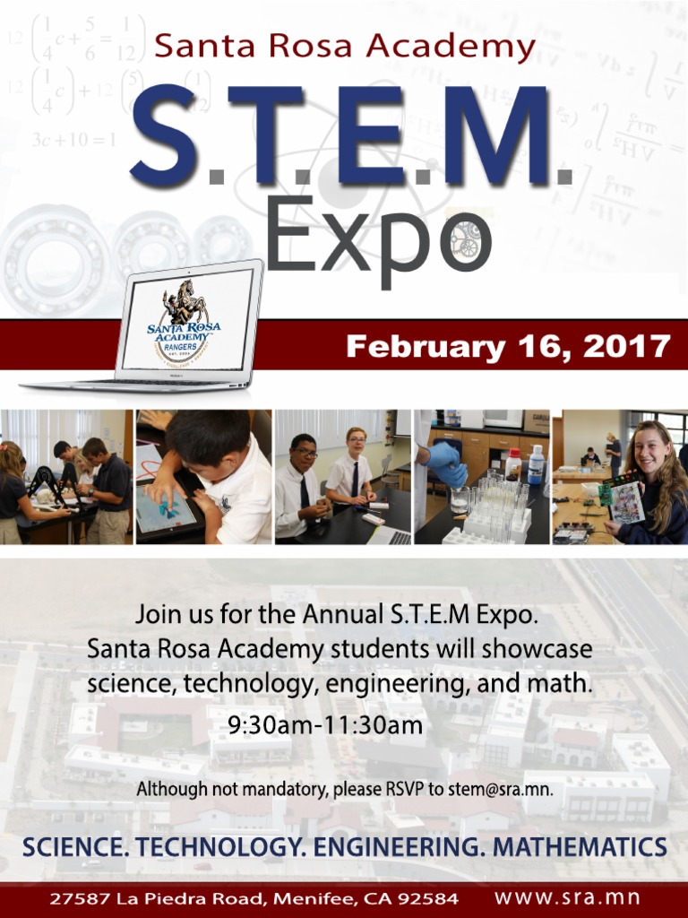 Stem Flyer | PDF