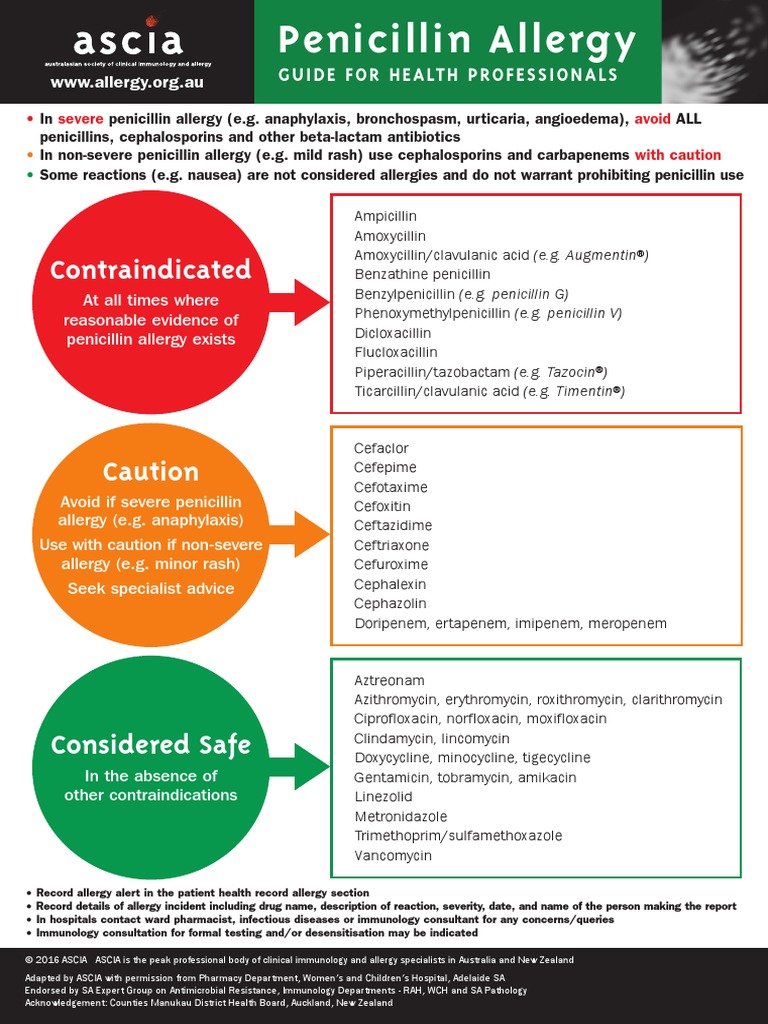 ASCIA HP Penicillin Allergy Guide 2016 | PDF | Penicillin | Allergy
