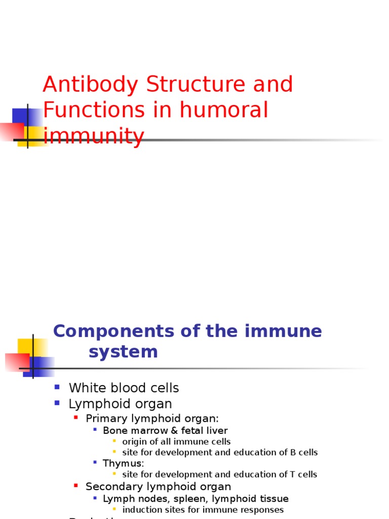 Antibody Structure and Functions in Humoral Immunity | PDF | Antibody ...