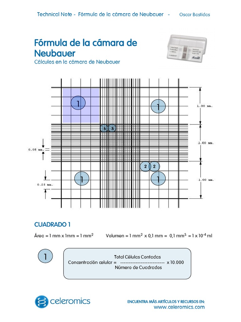 Fórmula y Cálculo en Cámara de Neubauer | PDF