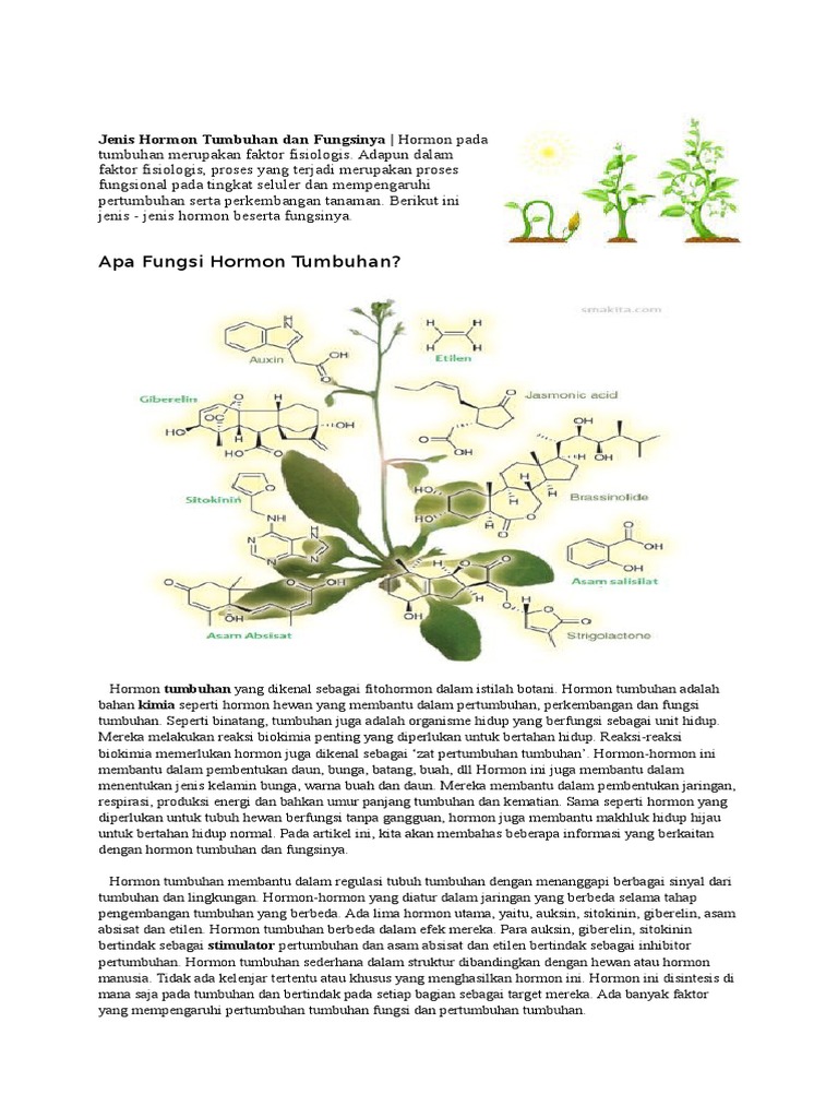 Jenis Hormon Tumbuhan Dan Fungsinya | PDF