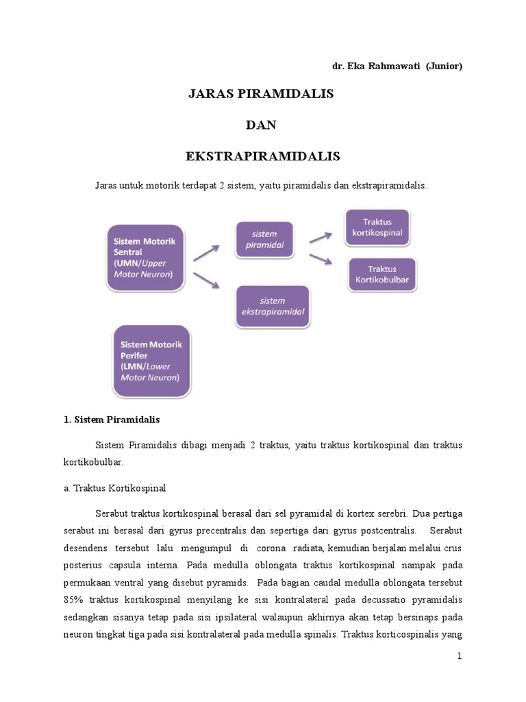 Sistem Piramidal dan Ekstrapiramidal | PDF