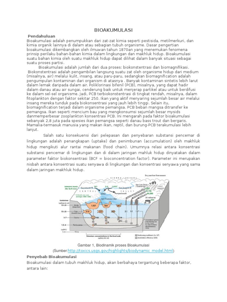 Pemahaman Bioakumulasi dan Dampaknya | PDF | Sains & Matematika