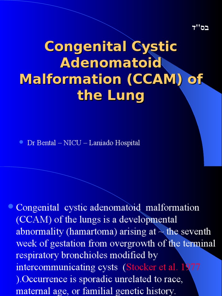 Congenital Cystic Adenomatoid Malformation (CCAM) of The Lung | PDF ...