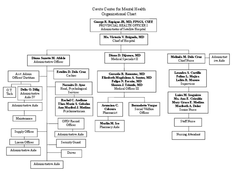 Organizational Chart | PDF | Health Care | Health Sciences