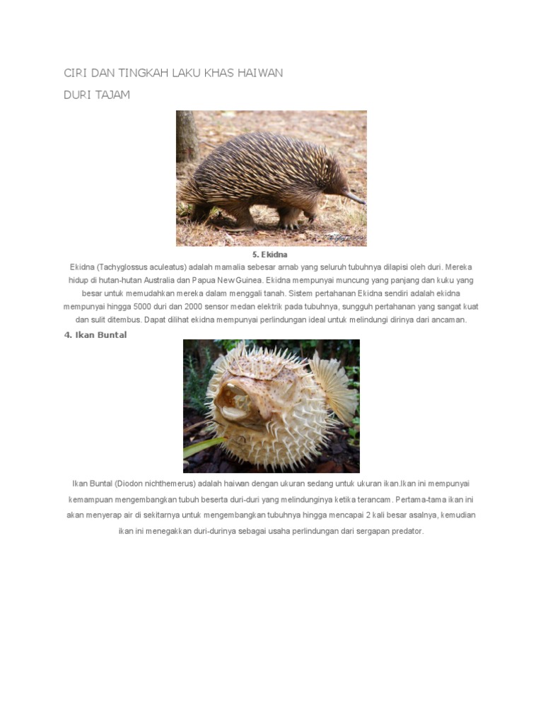 Ciri Dan Tingkah Laku Khas Haiwan | PDF