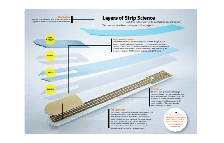 2012 07 Anatomy of A Test Strip PDF | PDF | Electronic Circuits | Glucose