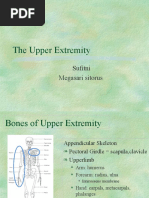 Upper Limb Mnemonics 2 | PDF | Thumb | Hand