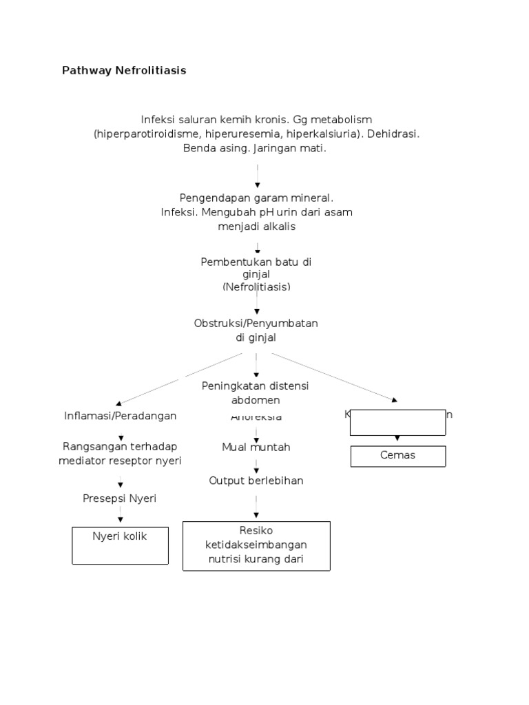 Pathway Nefrolitiasis | PDF