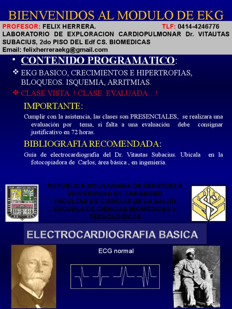 Ekg Básico | PDF | Electrocardiografia | Imagenes medicas