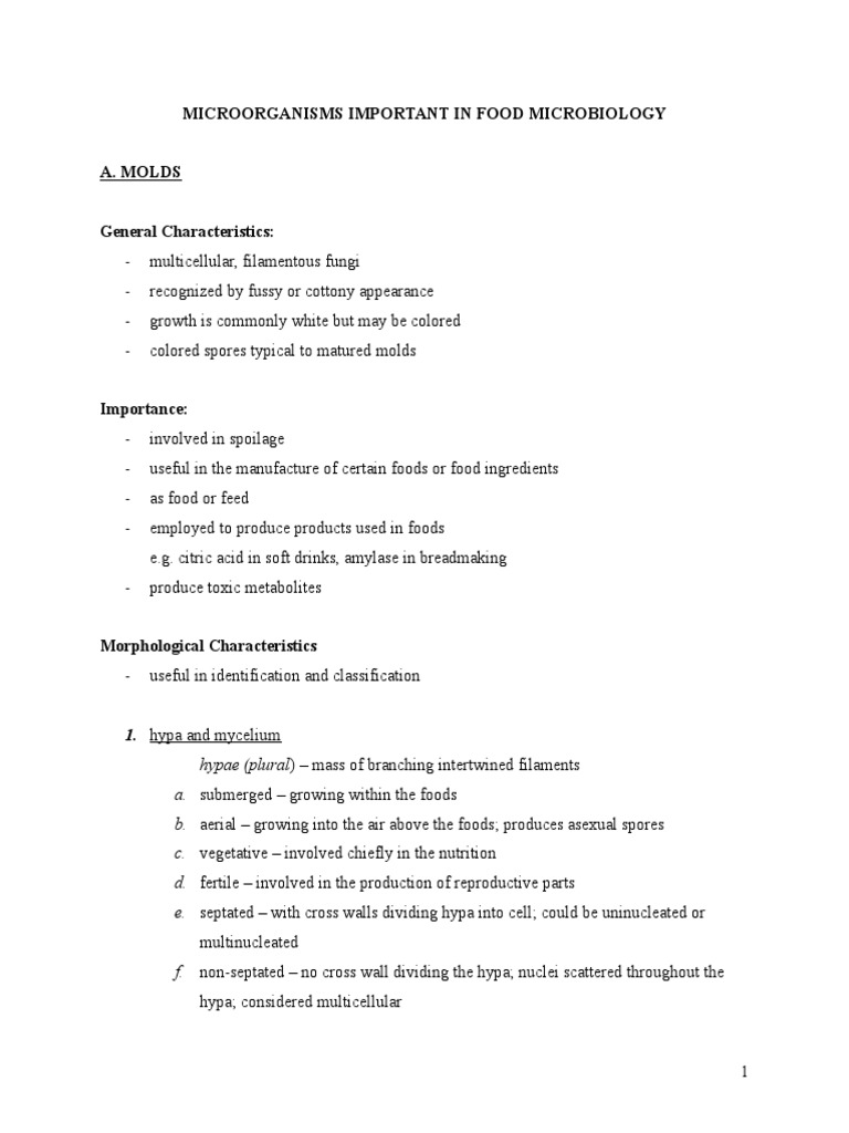Lecture 2 Notes On Molds | PDF | Mold | Fungus