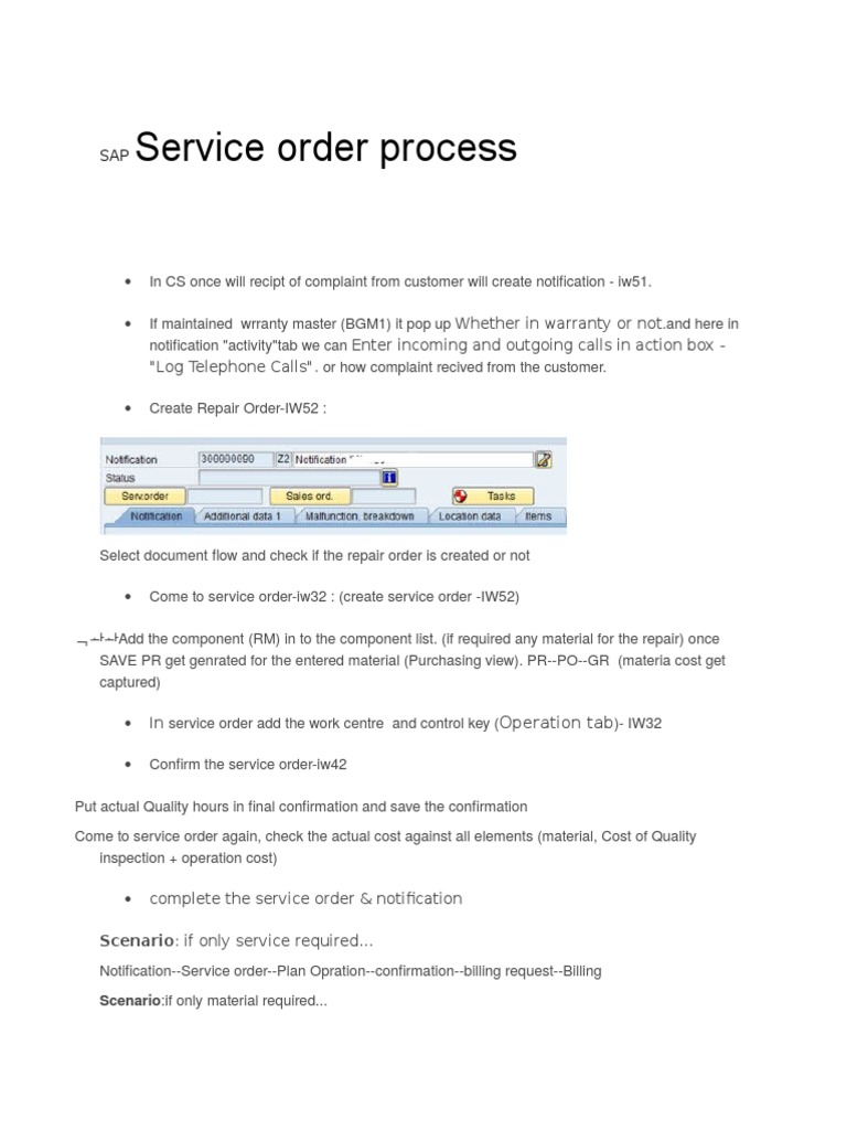 SAP Service Order Process PDF