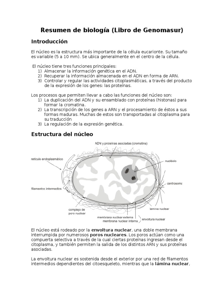 14-06-15 Genomasur Summary Biología | PDF | Nucleo celular | Citoplasma