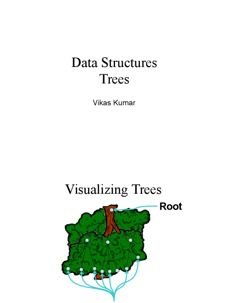 Data Structures Trees: Vikas Kumar | PDF | Mathematical Concepts ...