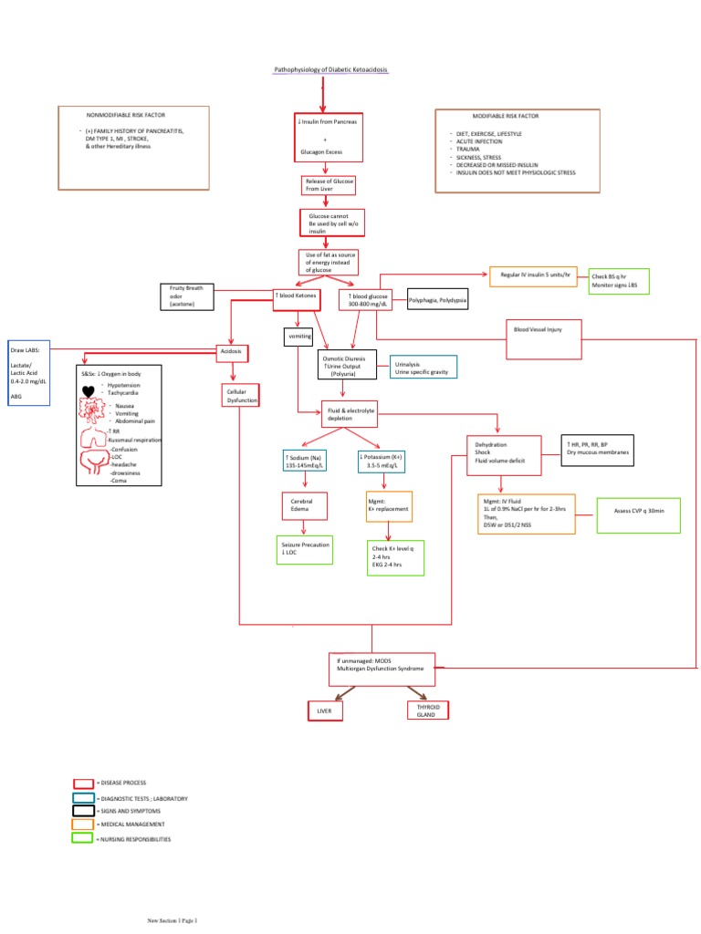 DKA PATHO DIAGRAM | Diseases And Disorders | Medicine