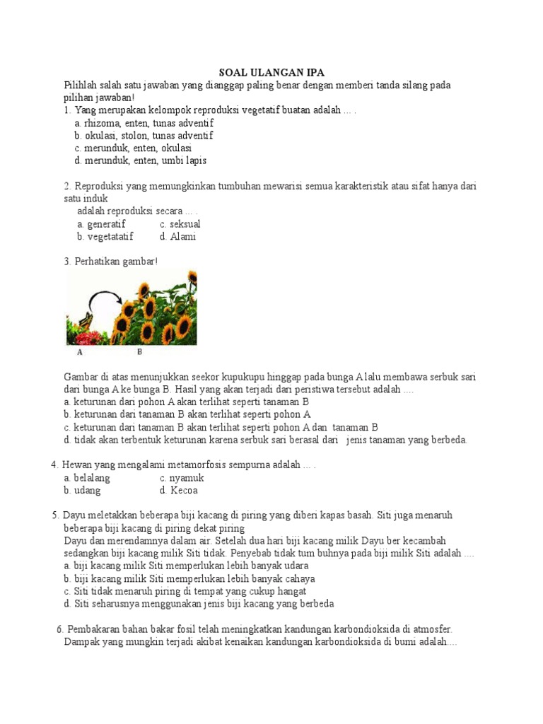 Soal Ulangan Ipa | PDF | Kajian Bahasa Asing | Sains & Matematika