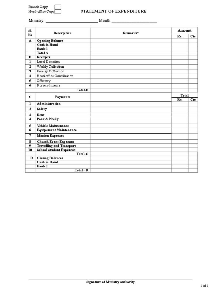 Monthly Expenditure Statement Template | PDF | Finance & Money Management