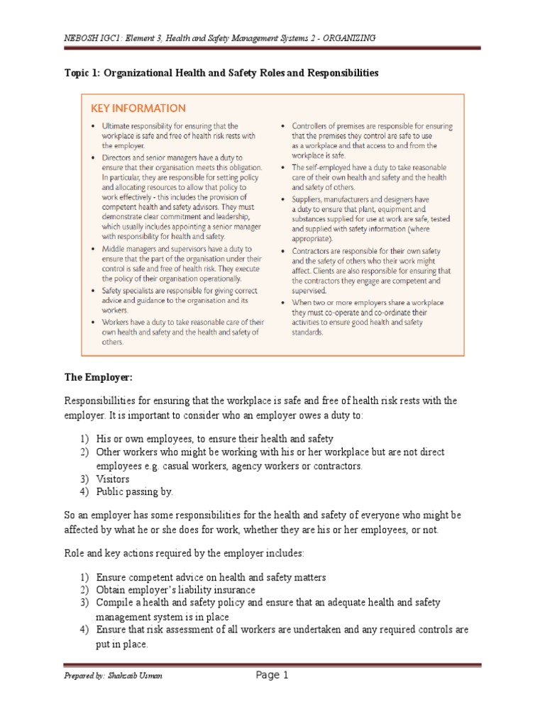 Organizing for Health and Safety: An Overview of Key Roles and ...