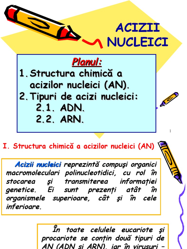 5 Acizii nucleici.ppt