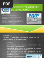 Nif C13 | PDF | Estado financiero | Contabilidad
