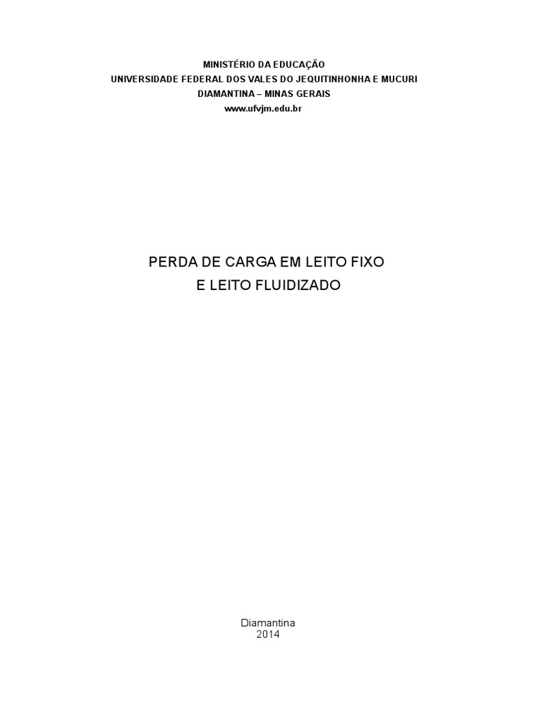 Relatório Leito Fixo e Fluidizado | PDF