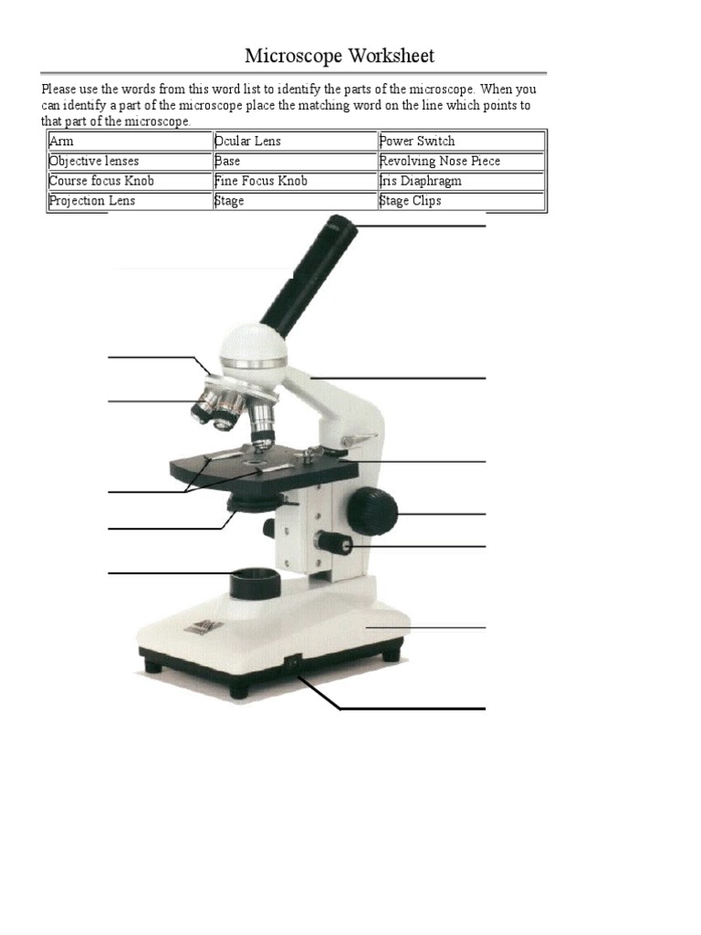 Parts Of A Microscope And Their Functions Worksheet