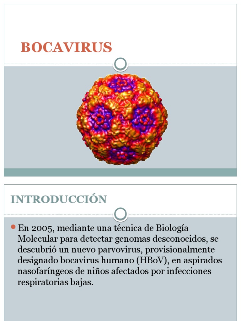BOCAVIRUS | PDF | Nucleo celular | Replicación De Adn