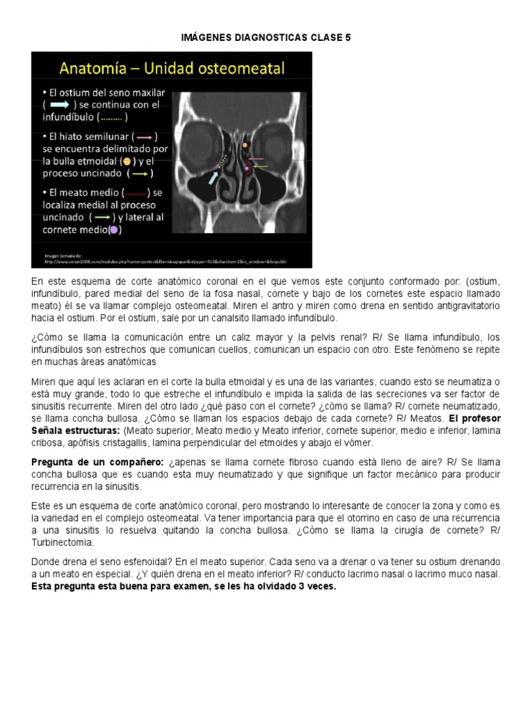Imágenes Diagnosticas Clase 5 | PDF