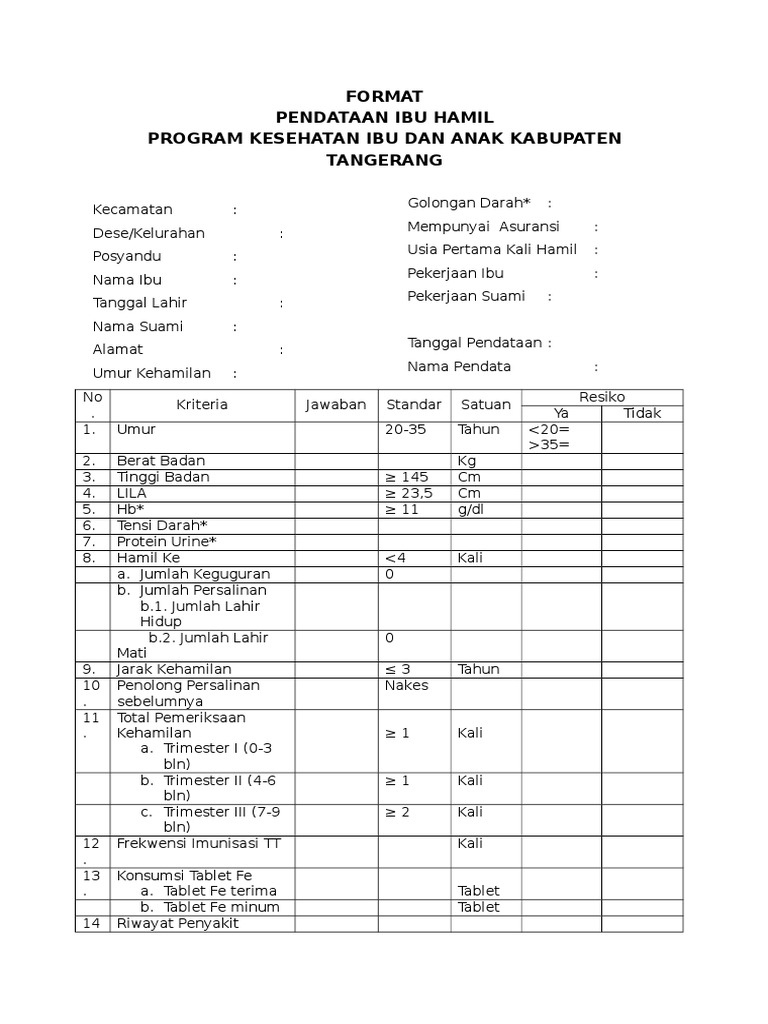 Format Pendataan | PDF