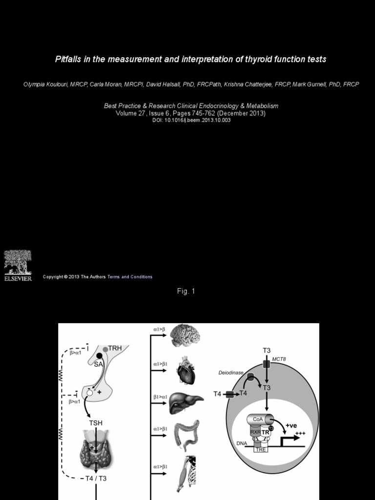 Pitfalls in The Measurement and Interpretation of Thyroid Function ...