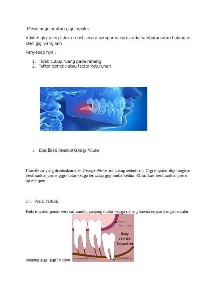 Mesio Angular Atau Gigi Impaksi Yolla | PDF | Seni & Disiplin Bahasa