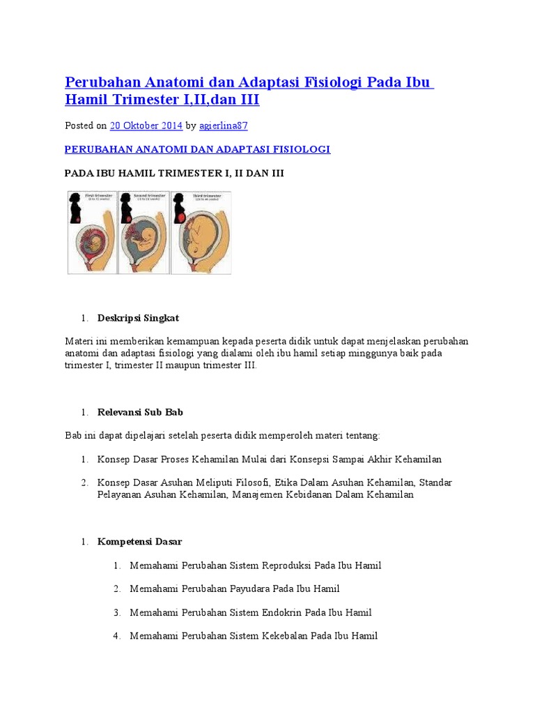Perubahan Anatomi Dan Adaptasi Fisiologi Pada Ibu Hamil Trimester I | PDF