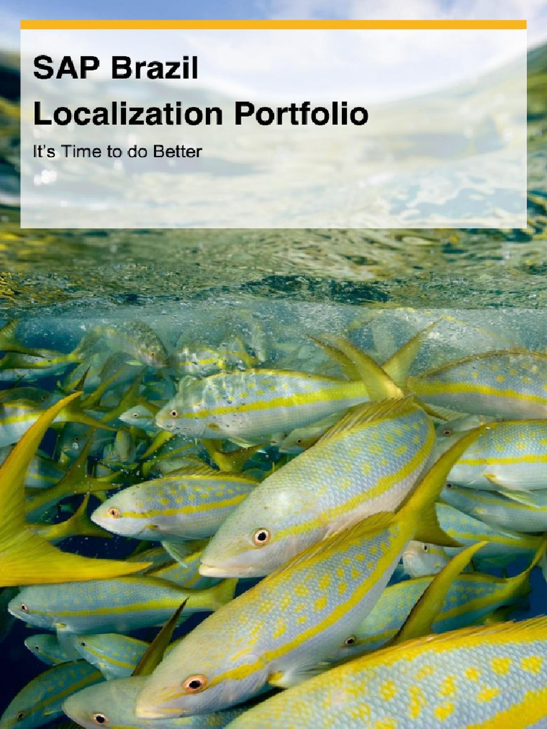SAP Brazil Localization Portfolio | PDF